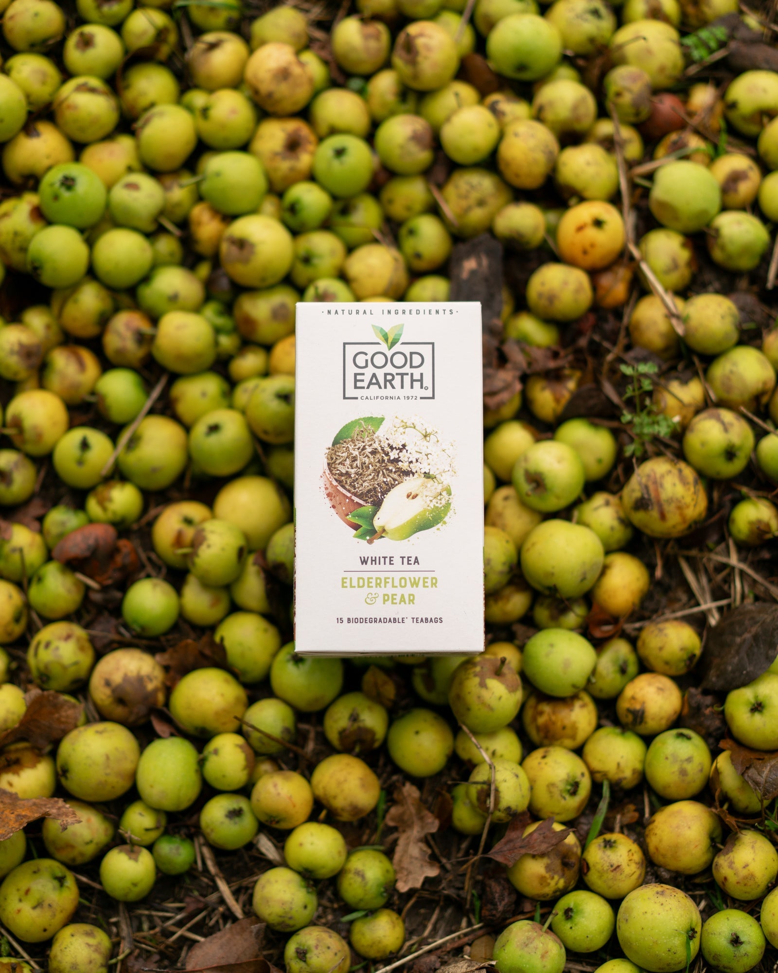 Good Earth Store | Black & Herbal Tea – Good Earth UK