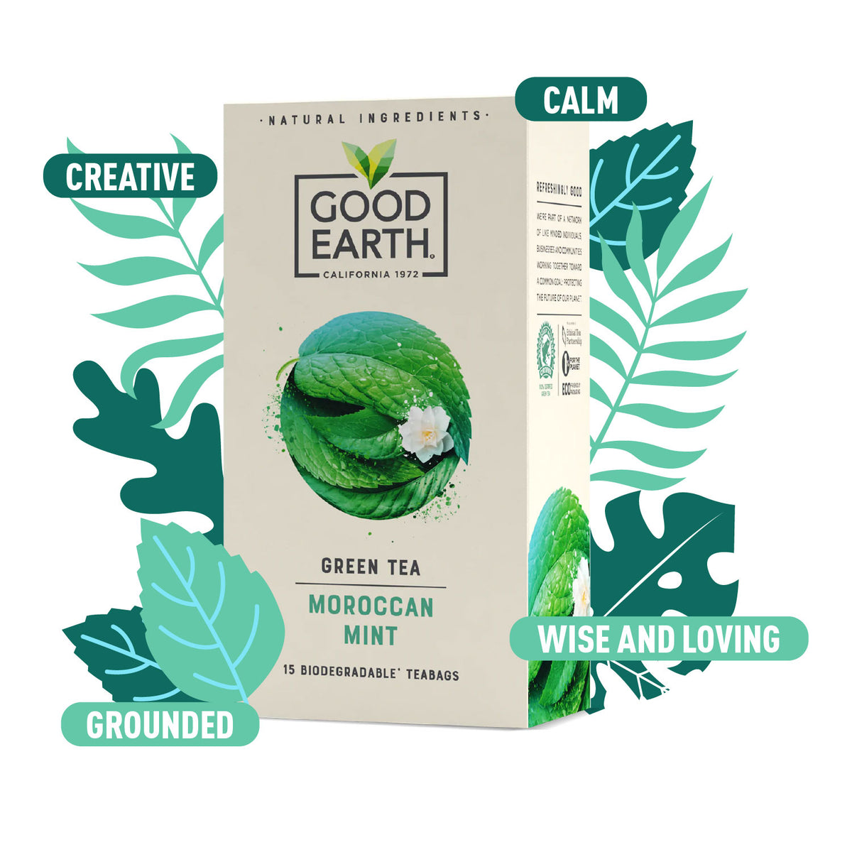 Good Earth Moroccan Mint Tea Bags – Good Earth UK